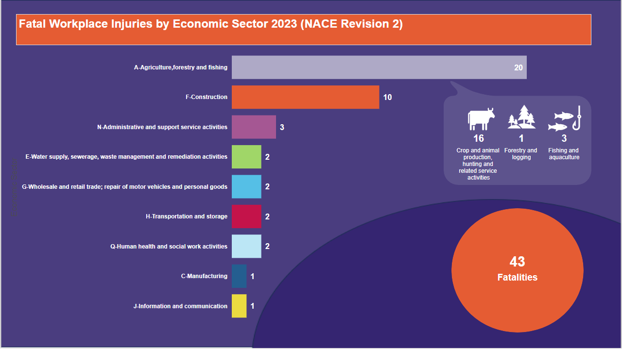 Fatal Injury - Health and Safety Authority