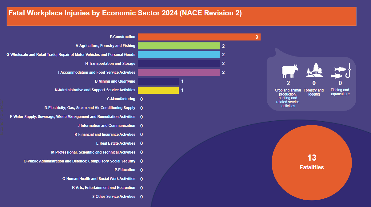 Fatal Injury - Health and Safety Authority