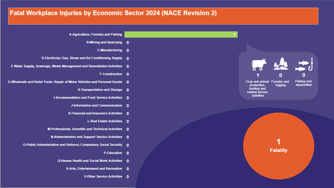 Fatal Injury - Health and Safety Authority